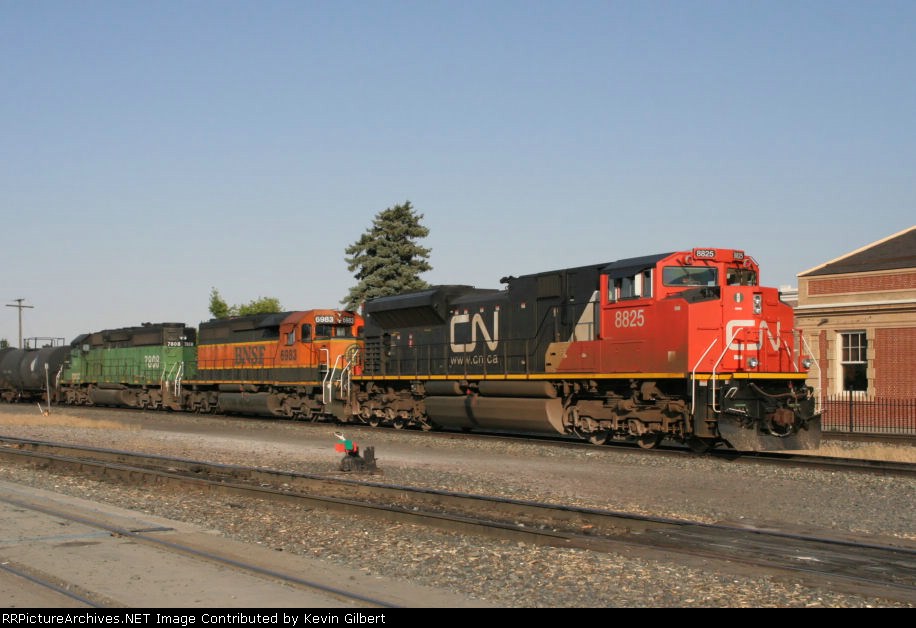 CN 8825